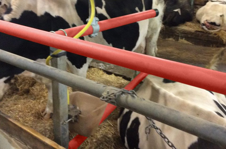 Tie Mount Stalls | Cow Stall Packages | Foxworthy Supply